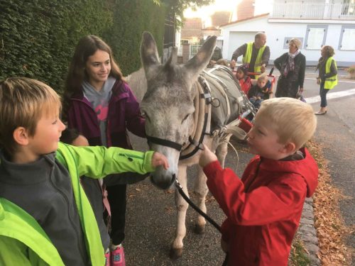 L'Esel-Bus - Aux Âneries d'Uffholtz, anniversaires, médiation asine